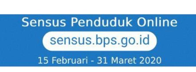 Sensus Penduduk Online 2020, Isi Data Cuma 5 Menit di Laman sensus.bps ...